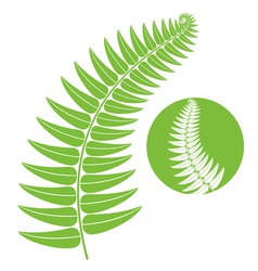 Silver fern with long shadow Royalty Free Vector Image