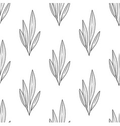 Seamless plant pattern Royalty Free Vector Image