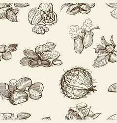 Background with different nuts Royalty Free Vector Image
