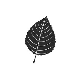 Elm leaf icon Royalty Free Vector Image - VectorStock