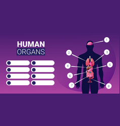 Human body infographic man Royalty Free Vector Image