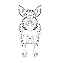 Boar head Royalty Free Vector Image - VectorStock