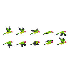 Key frames of animation flying bird Royalty Free Vector