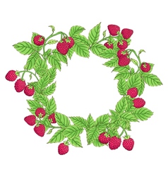 Raspberry frame Royalty Free Vector Image - VectorStock