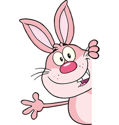 Happy cartoon rabbit Royalty Free Vector Image
