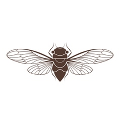 Cicada Royalty Free Vector Image - VectorStock
