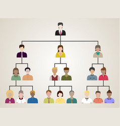Organization chart tree company corporate Vector Image