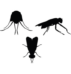Bug fly silhouette Royalty Free Vector Image - VectorStock