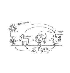 Funny animals food chain coloring book Royalty Free Vector
