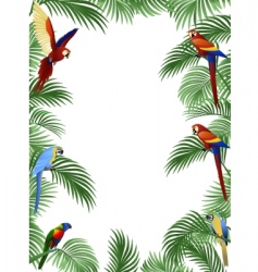 Parrot frame Royalty Free Vector Image - VectorStock