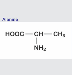 Alanine skeletal formula Royalty Free Vector Image
