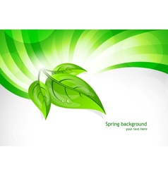 Spring abstract background Royalty Free Vector Image