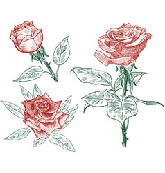 Red roses with music notes Royalty Free Vector Image