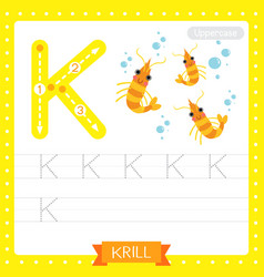 Letter k uppercase tracing practice worksheet Vector Image