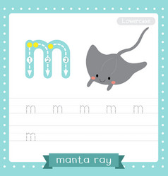Letter m uppercase and lowercase tracing practice Vector Image