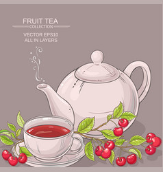 Raspberry tea Royalty Free Vector Image - VectorStock