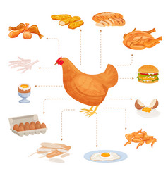 Chicken wings bucket composition Royalty Free Vector Image