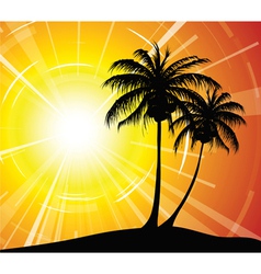 Orange sunset surfing beach Royalty Free Vector Image