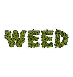 Decorative green marijuana alphabet design Vector Image