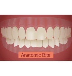 Teeth Bite Royalty Free Vector Image - VectorStock