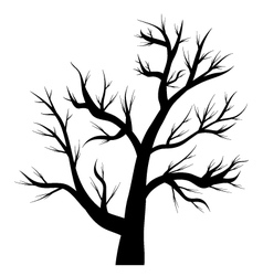 Tree trunk with branchs without leaves closeup Vector Image