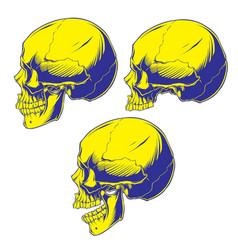 Javanese skull head Royalty Free Vector Image - VectorStock