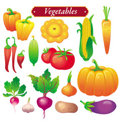 Group of vegetables Royalty Free Vector Image - VectorStock