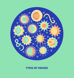 Types human viruses poster with text Royalty Free Vector