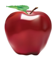 Forbidden fruit Royalty Free Vector Image - VectorStock