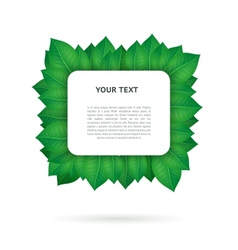 Green tree branch leaves frame Royalty Free Vector Image