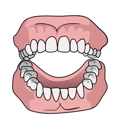False Teeth Royalty Free Vector Image - VectorStock