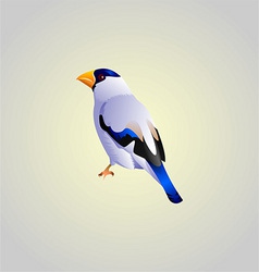 Bird Royalty Free Vector Image - VectorStock