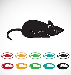 Rat Royalty Free Vector Image - VectorStock