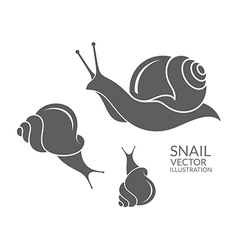 Snail Royalty Free Vector Image - VectorStock