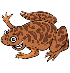 Frog or toad cartoon Royalty Free Vector Image
