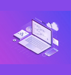 Software development isometric Royalty Free Vector Image