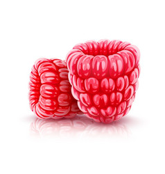 Object raspberry Royalty Free Vector Image - VectorStock