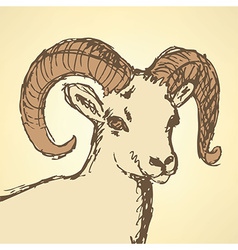 Sketch cute ram in hipster style Royalty Free Vector Image