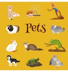 Home pets set cat dog parrot goldfish hamster Vector Image