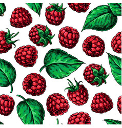 Raspberry seamless pattern drawing Royalty Free Vector Image