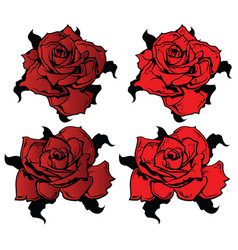 Set of gorgeous red roses bud of gorgeous garden Vector Image