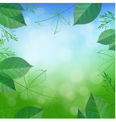 Natural background Royalty Free Vector Image - VectorStock