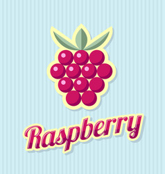 Raspberry tea Royalty Free Vector Image - VectorStock