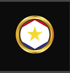 Dagestan flag golden button Royalty Free Vector Image