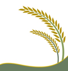 Rice plant cartoon Royalty Free Vector Image - VectorStock