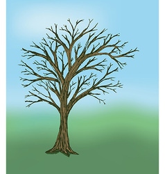 Autumn tree of life Royalty Free Vector Image - VectorStock