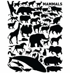 Mammals Royalty Free Vector Image - VectorStock