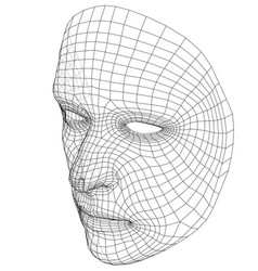Wire-frame abstract human face Royalty Free Vector Image