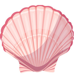 Seashell high quality Royalty Free Vector Image