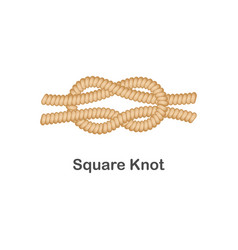 Ropes and knots Royalty Free Vector Image - VectorStock